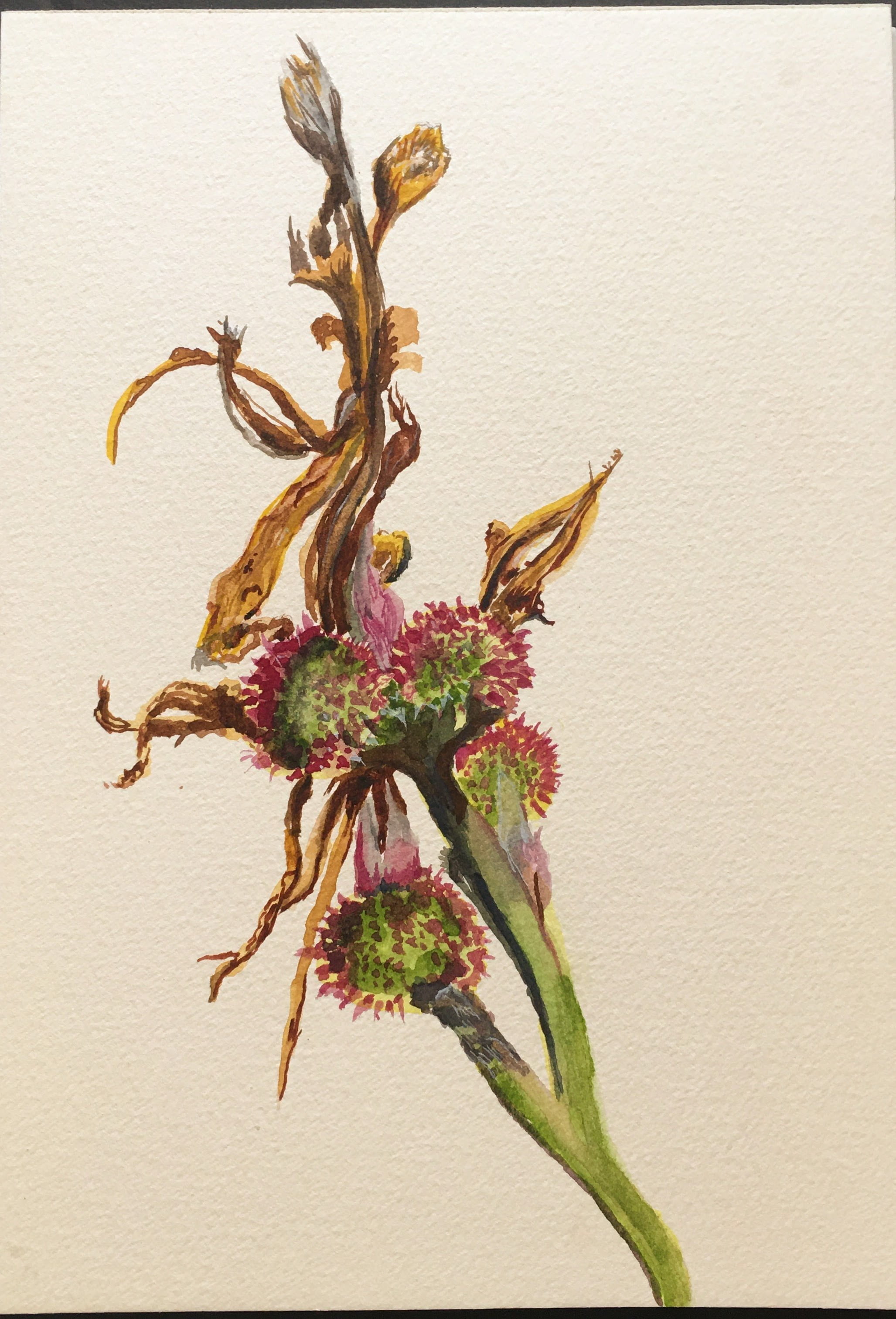 2024 CHAL & Hill Center Galleries Juried Exhibition – Hill Center DC